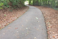 Cumming, Georgia: Sharon Springs Park ‣ WheelchairTraveling.com